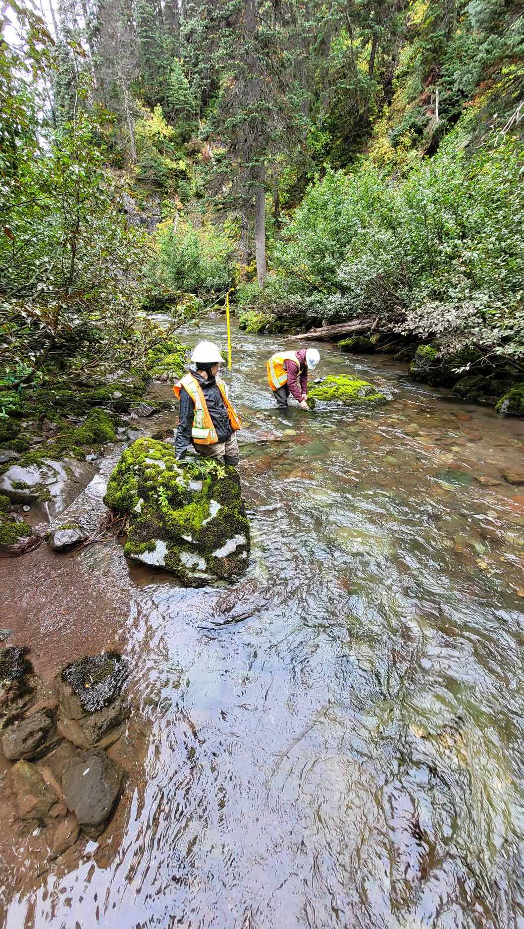 Choose CREWSAFE BC – CREWSAFE BC