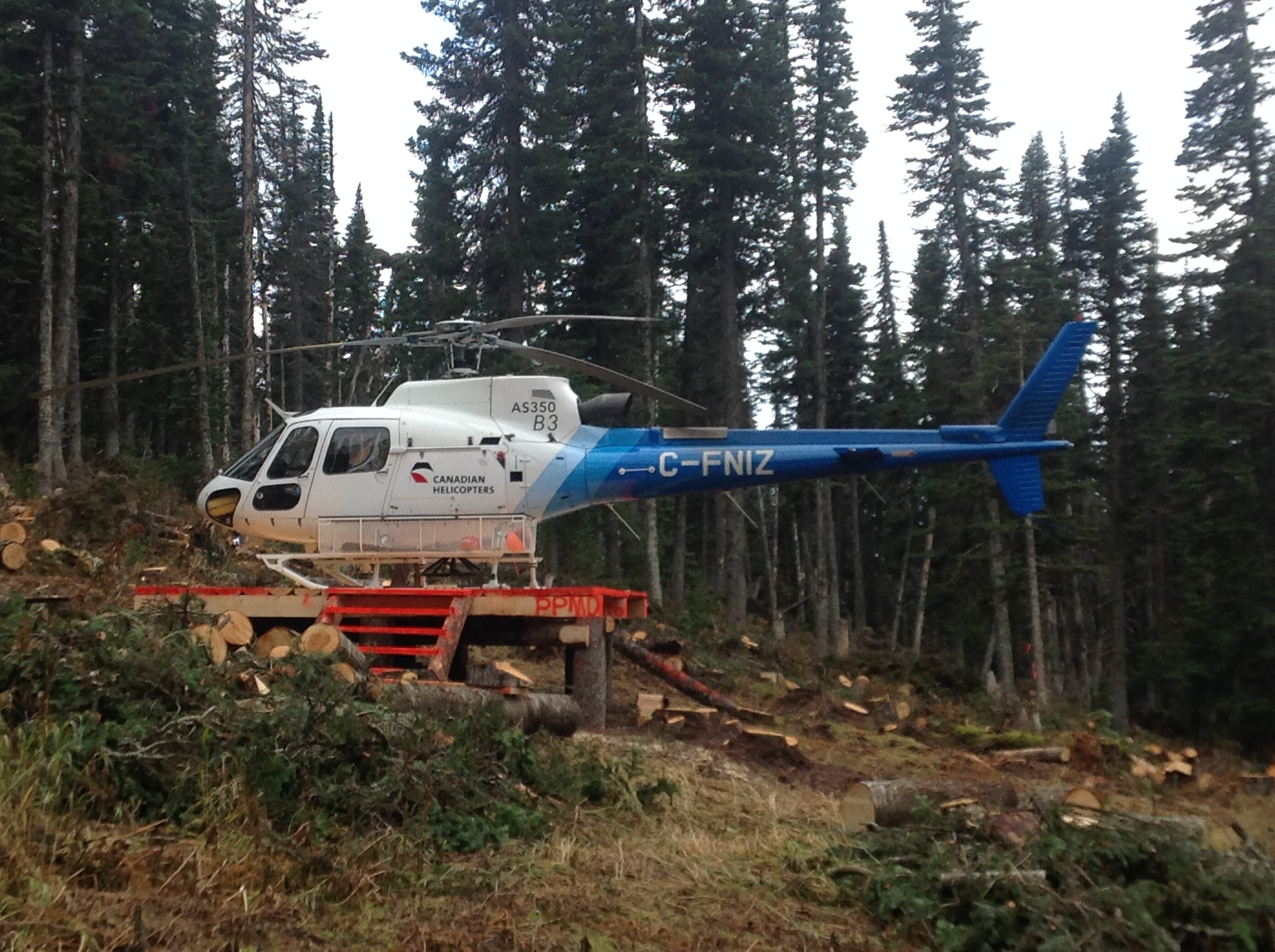 Services – CREWSAFE BC