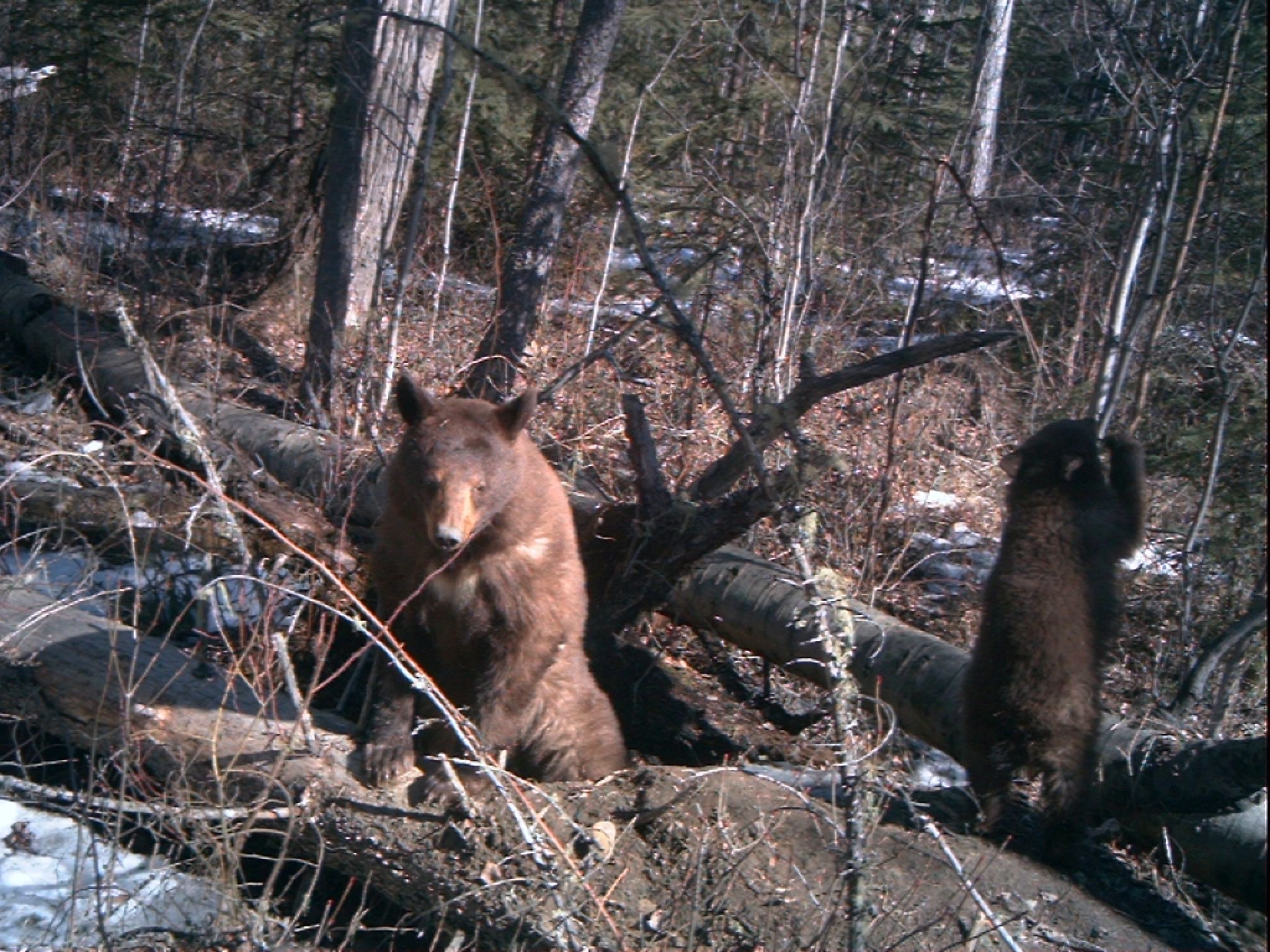 Services – CREWSAFE BC